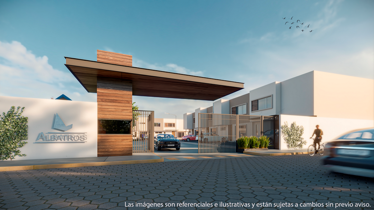 Albatros Metepec