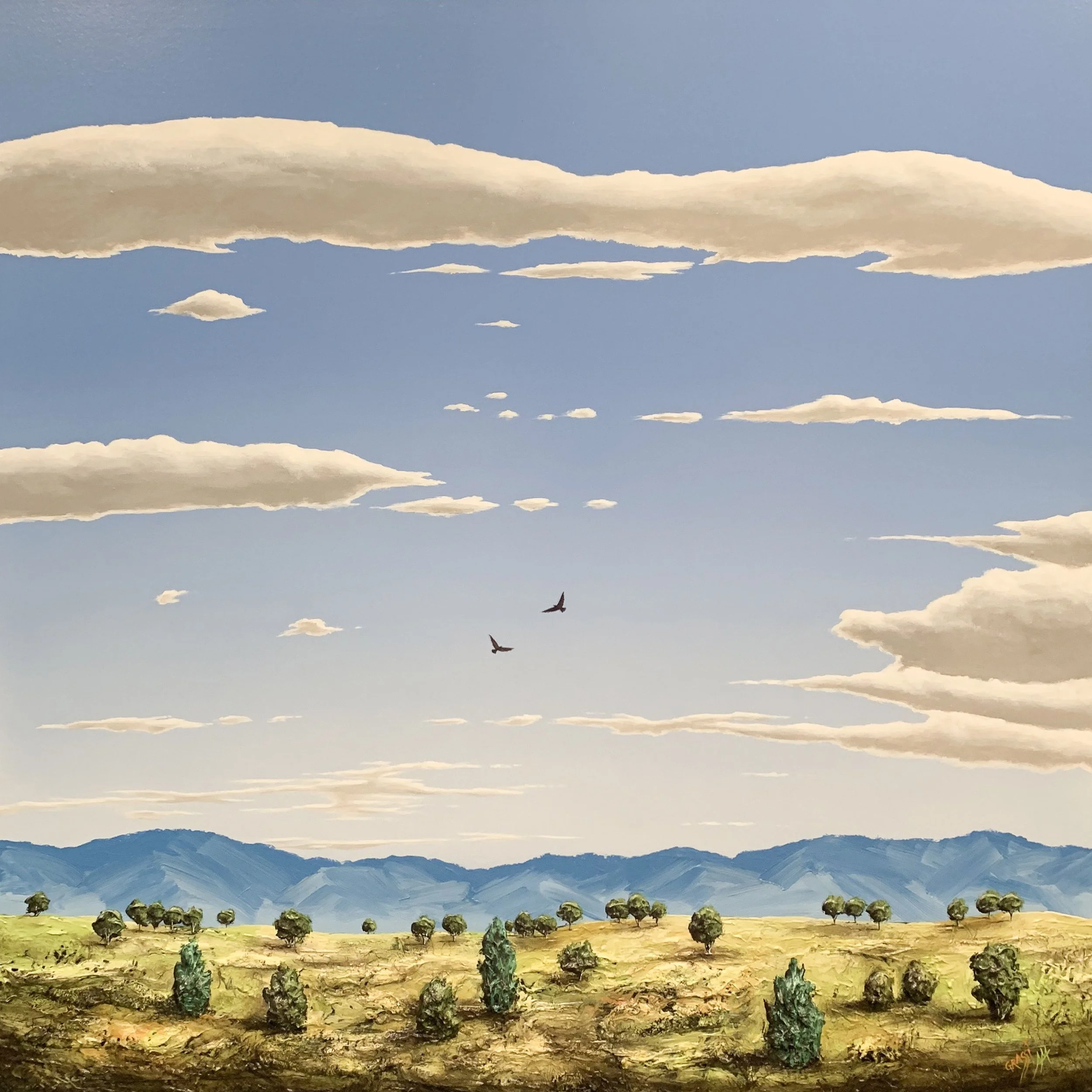 Australian Artists | Exhibitions | Thomgallery — Thomgallery
