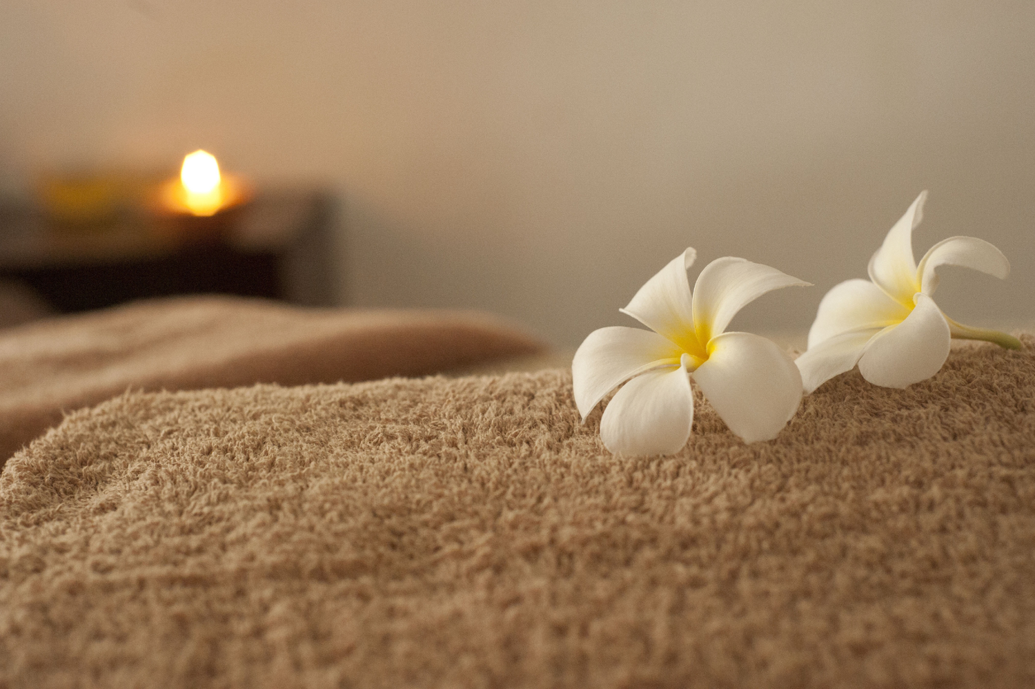 Japanese Head Spa | Revitalize & Relax Today — Lalai Day Spa