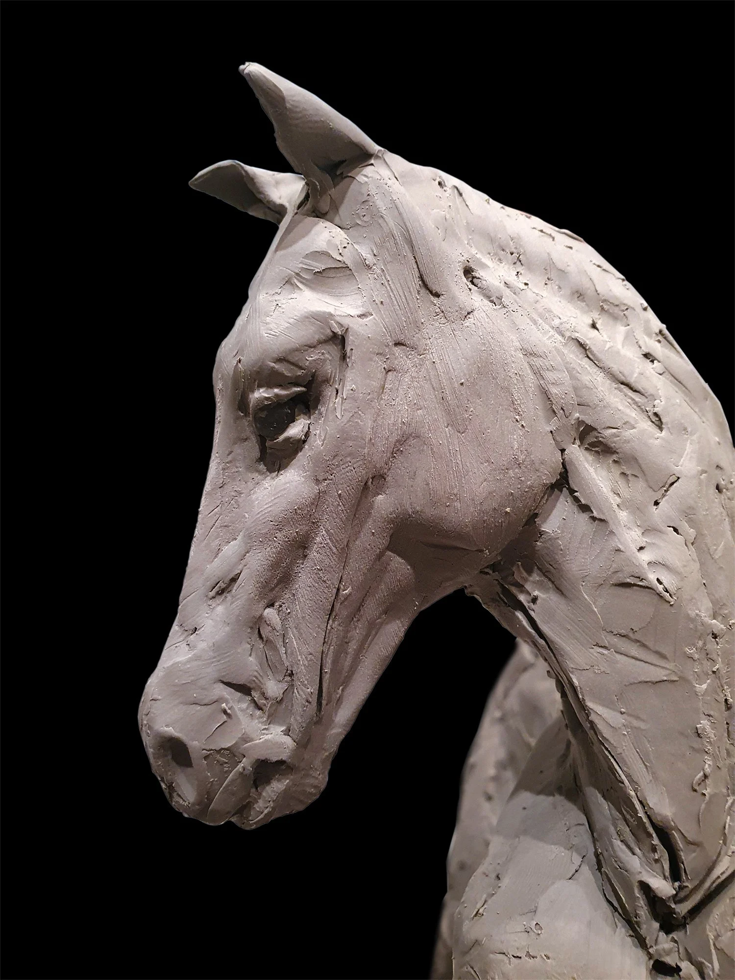 Animal Sculpture Course — Berlin Sculpture Atelier