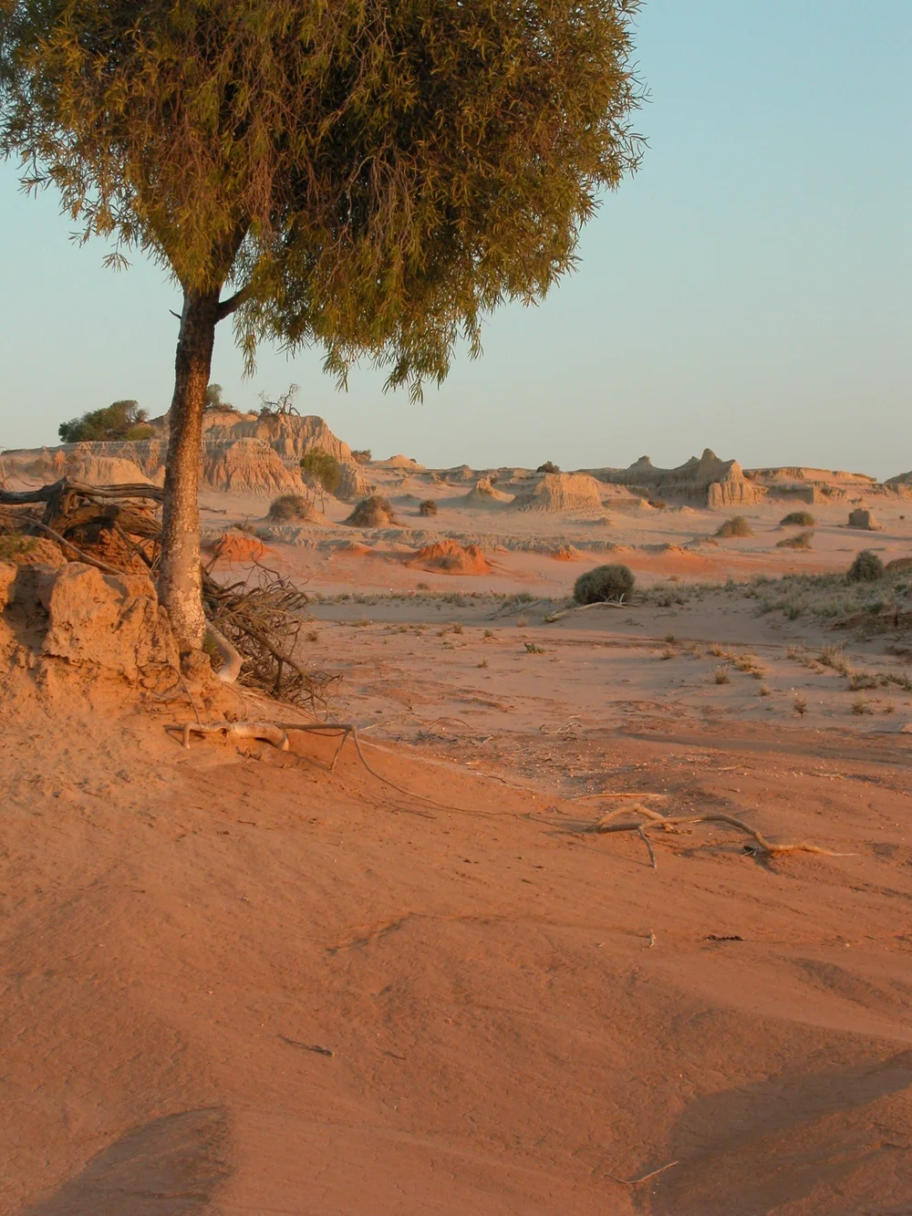 The Treasures of Lake Mungo — Academy Travel | Tailored Small Group ...