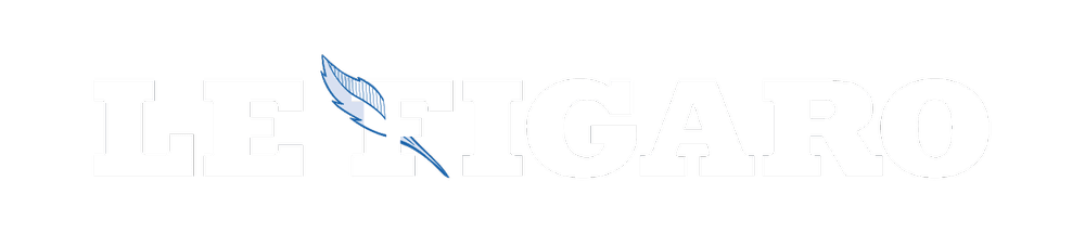 Wscripted | Powering story discovery in entertainment