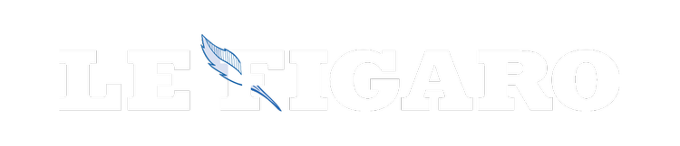 Wscripted | An impact-driven story discovery company