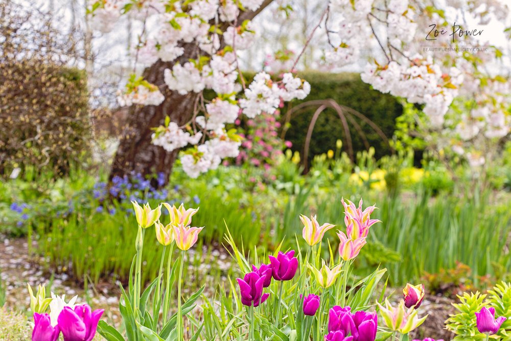 Spring spectacular at Merriments Garden by Zoë Power | Beautiful Simplicity