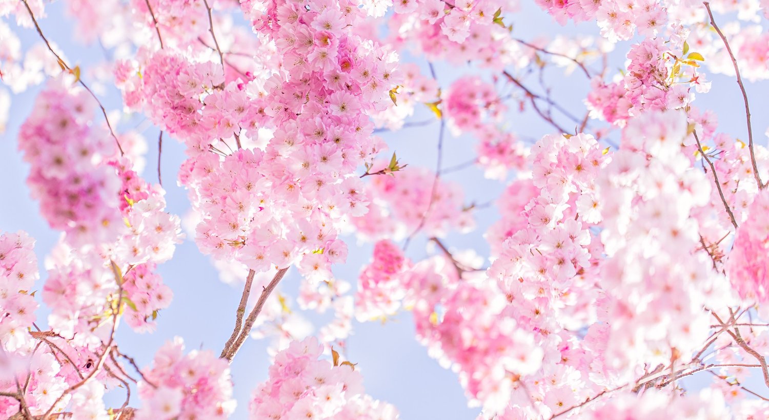 Beautiful Simplicity by Zoë Power | Nature and Coastal Photography in a ...