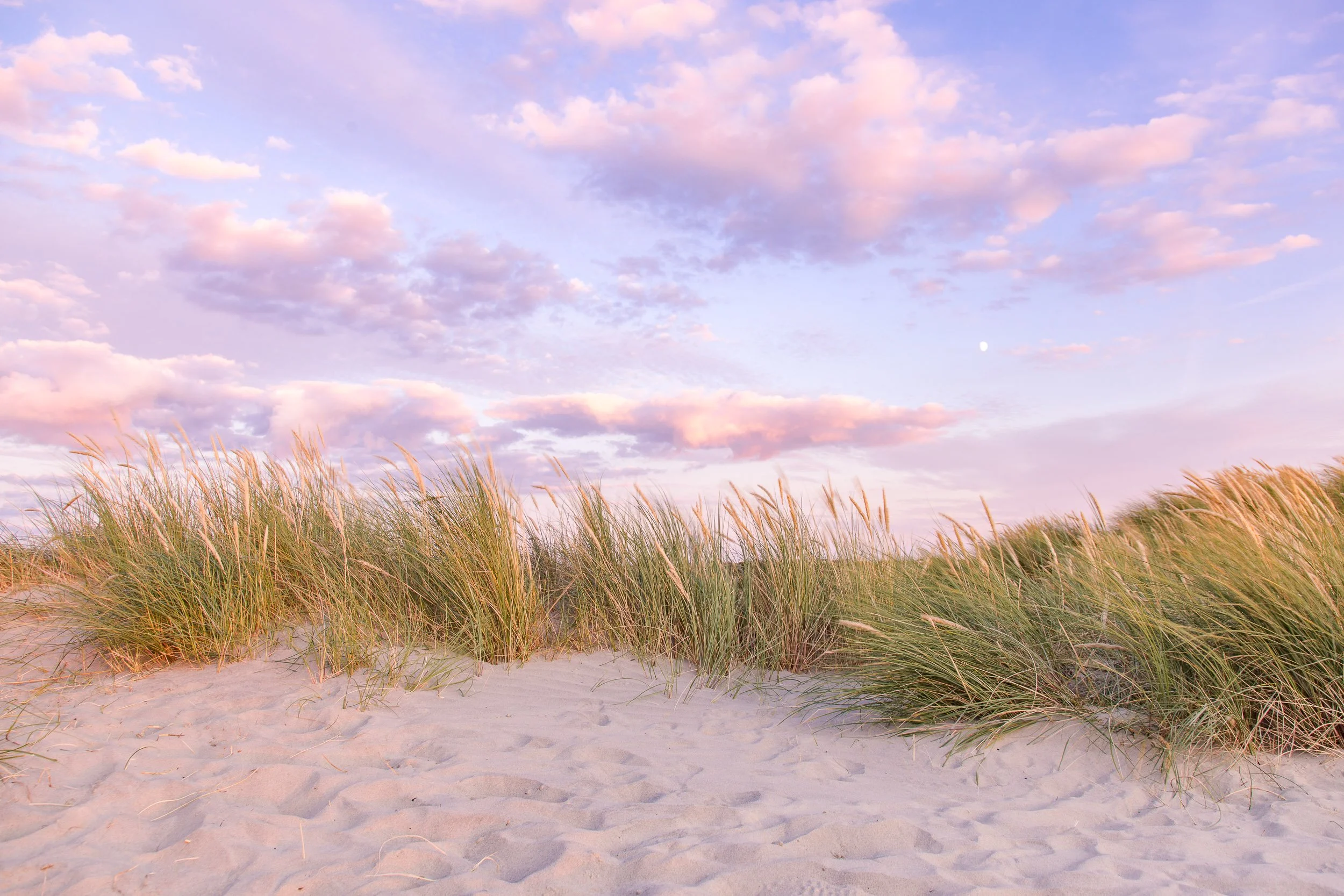 Zoë Power's Photo Gallery — Beautiful Simplicity