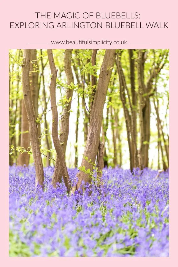 The magic of bluebells: exploring Arlington Bluebell Walk by Zoë Power ...