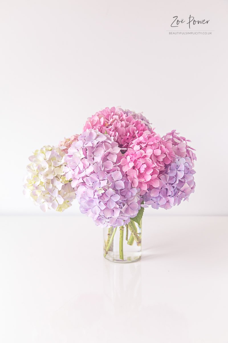 About Zoë Power | Nature & Coastal Photography — Beautiful Simplicity