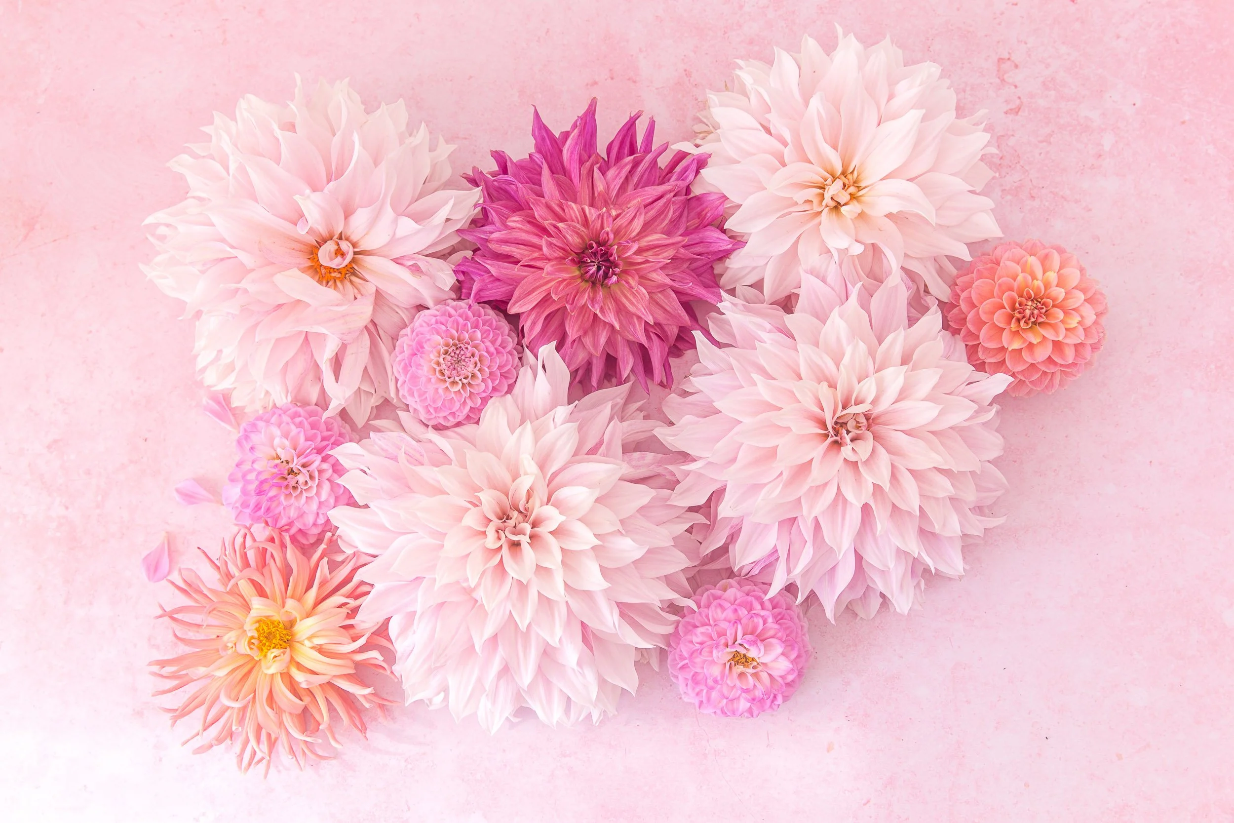 Creativity — Blog by Zoe Power — Beautiful Simplicity
