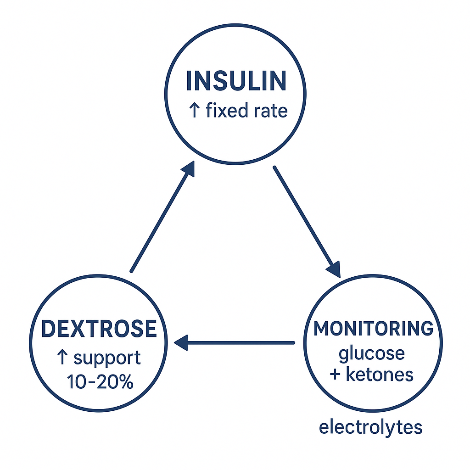 Rethinking Euglycemic DKA Modern Management Strategies And The Rise Of Rethinking Euglycemic DKA Modern Management Strategies And The Rise Of