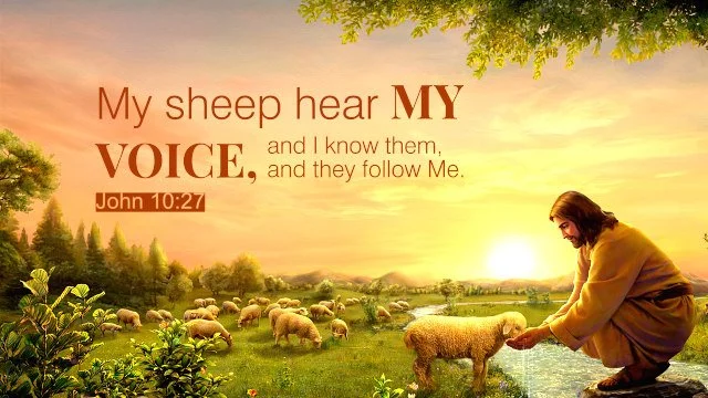 Fourth Sunday of Easter or Good Shepherd Sunday — St. Joseph's Church
