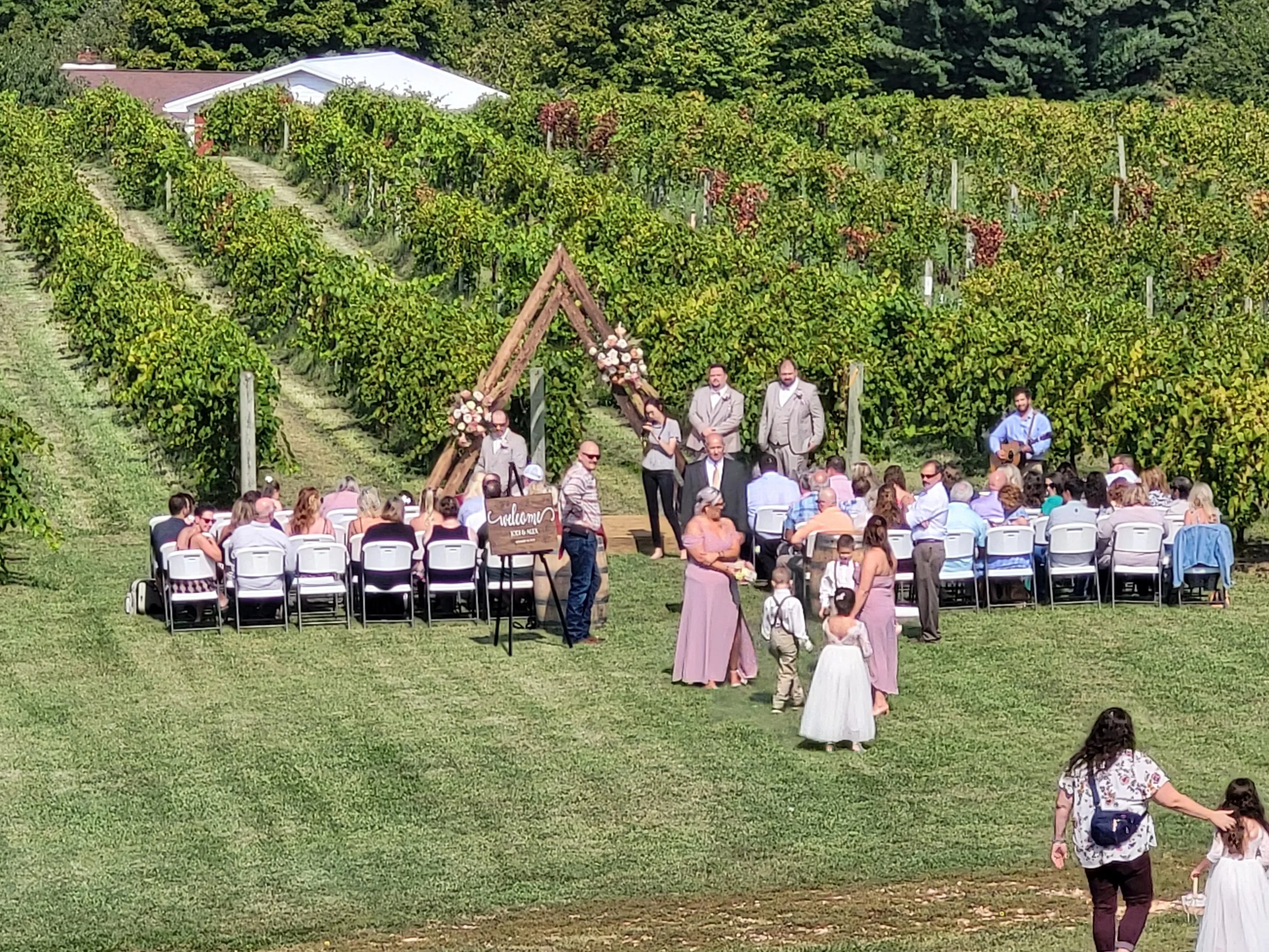 Learn more about wine and winemaking — Alto Vineyards