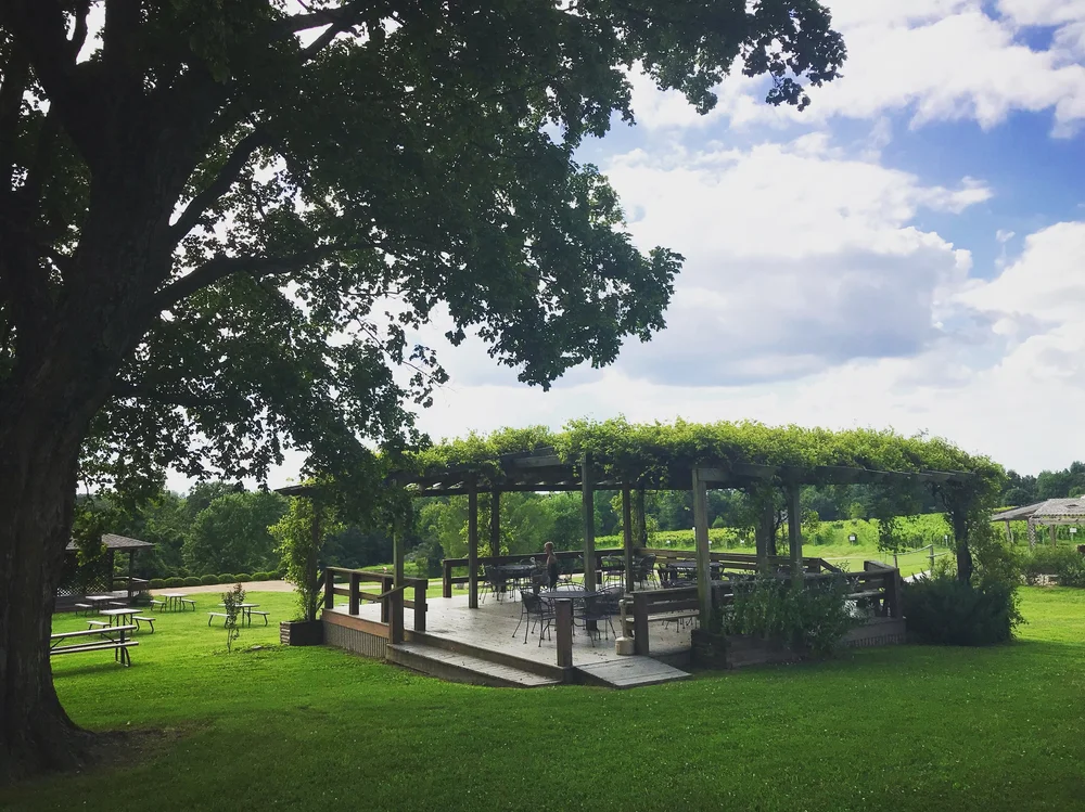 Visit Alto Vineyards Tasting Rooms — Alto Vineyards