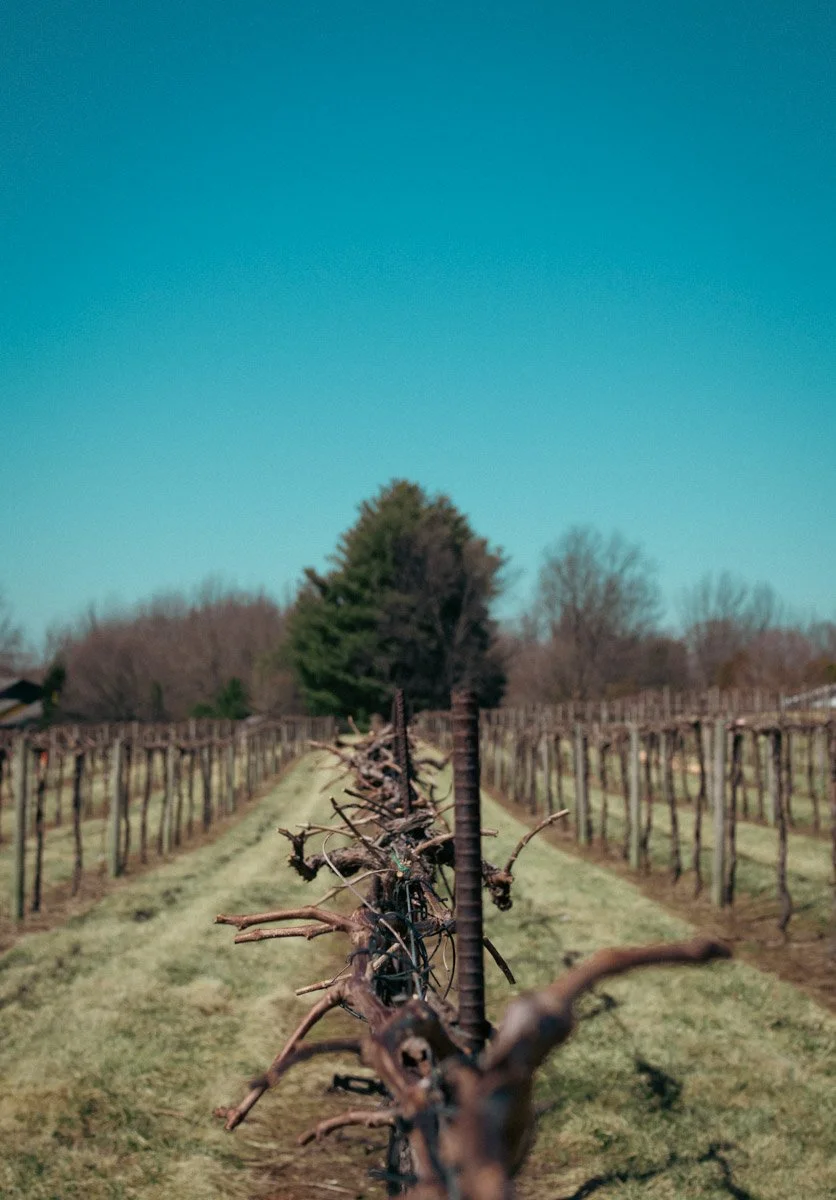 Visit Alto Vineyards Tasting Rooms — Alto Vineyards