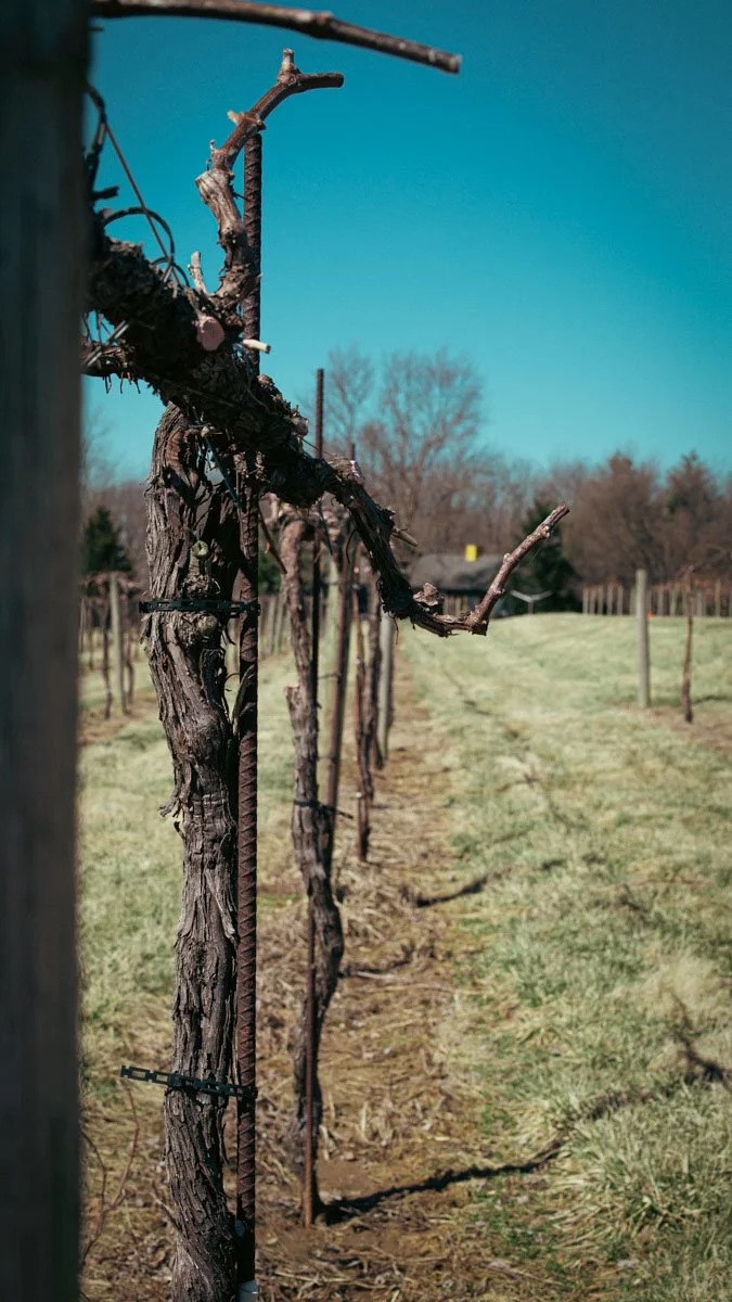 Visit Alto Vineyards Tasting Rooms — Alto Vineyards