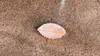 Everything you need to know about Silver Clay | Learn and Create ...