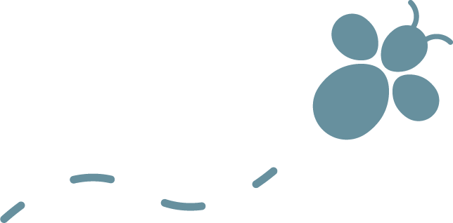 Beehyve Team — Beehyve