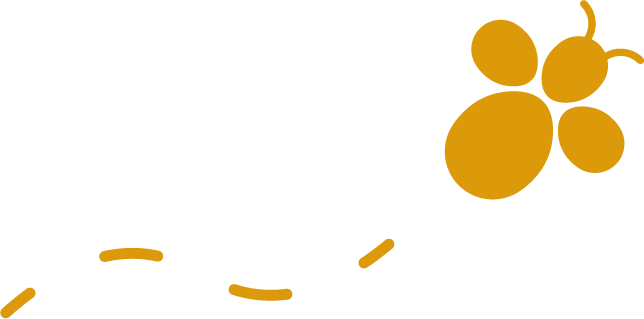 Beehyve Health provides a full hub of services support Adult ADHD in NZ.