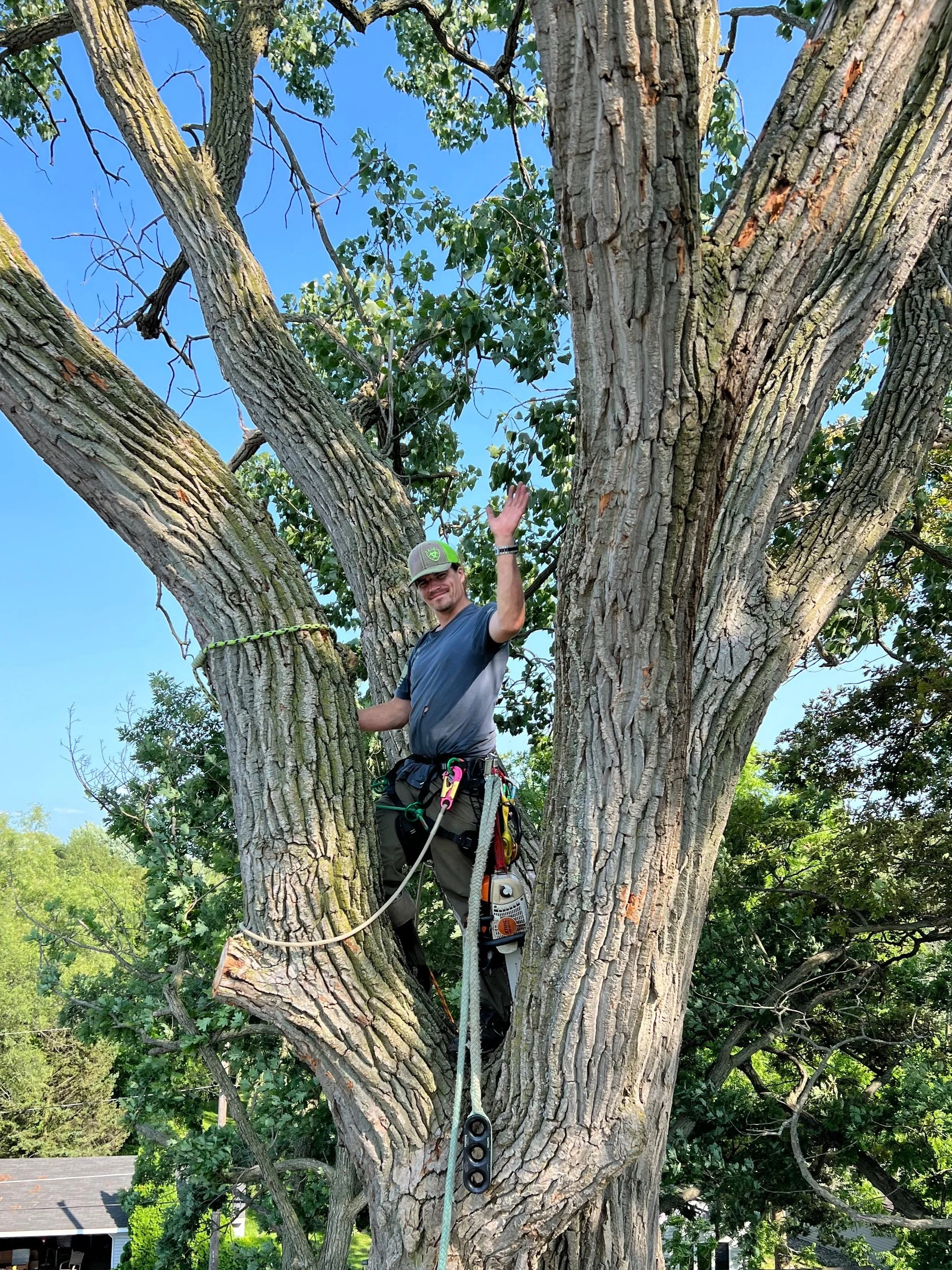 Services 1 — VisionScapes