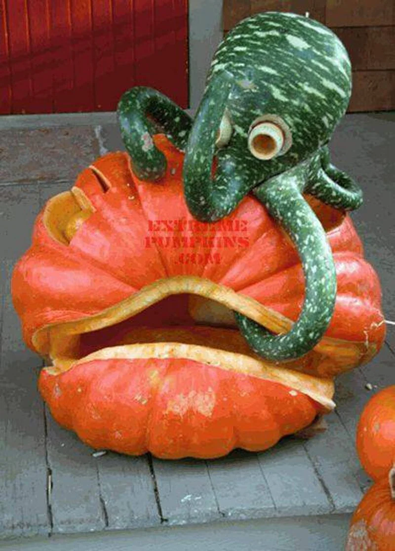 PUMKIN HEADS — JEFFBRIDGES.COM
