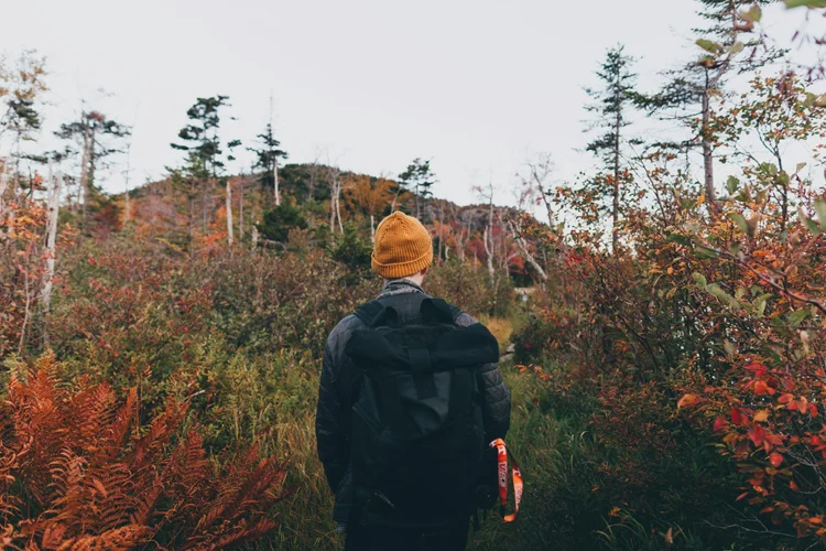 Stay Work Play NH | All Things for YPs in the 603