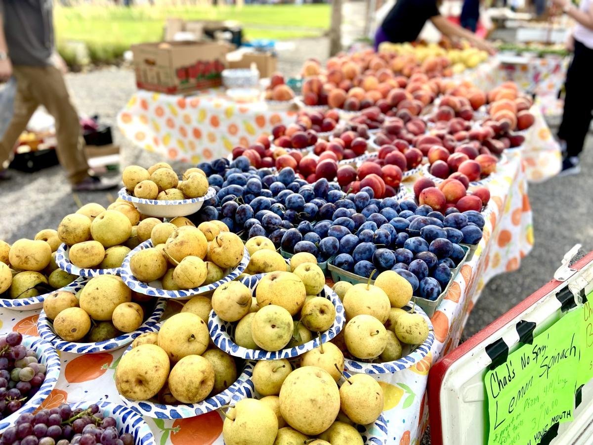 Sandy City Farmers Market — Empowered Community Markets