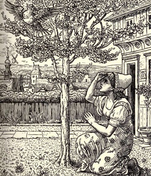 Juniper Medicine for Winter Solstice Season — Rowan + Sage