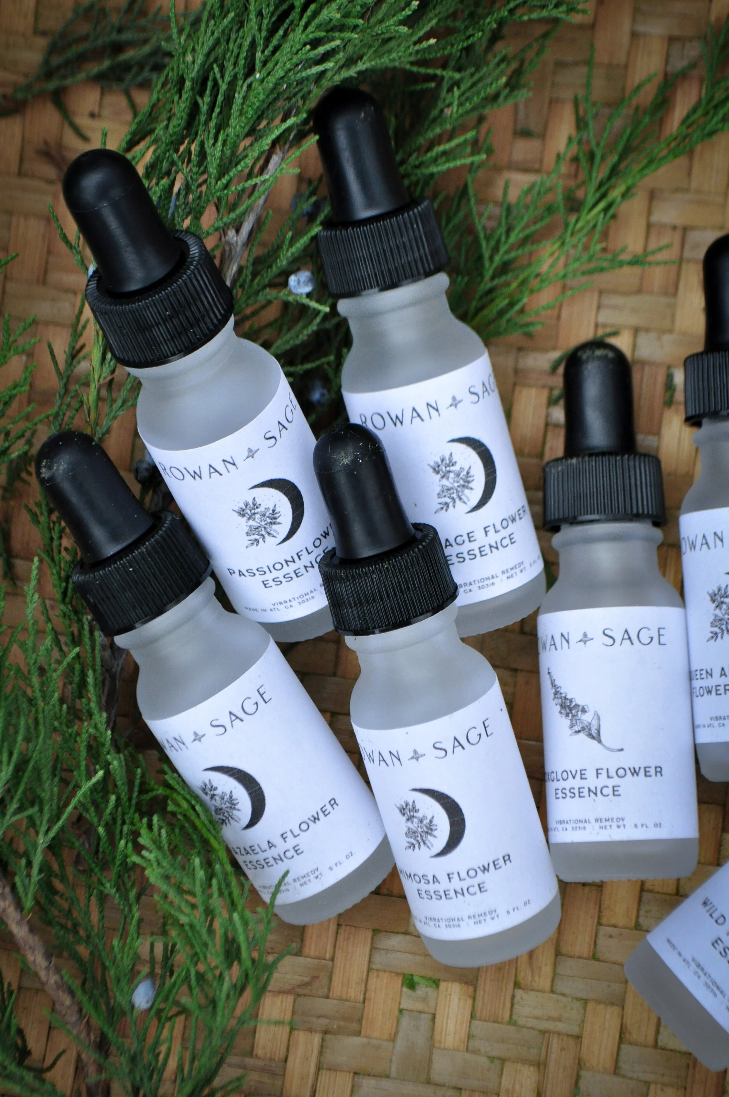Borage Flower Essence — Rowan + Sage