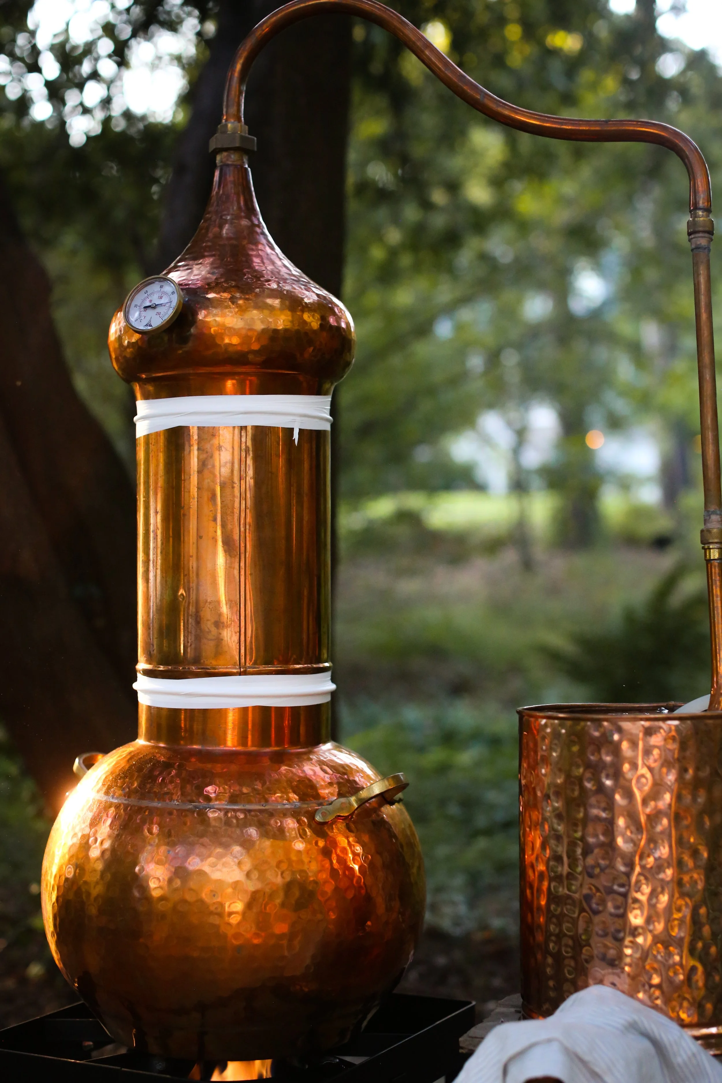 Shop Plant Potions — Rowan + Sage