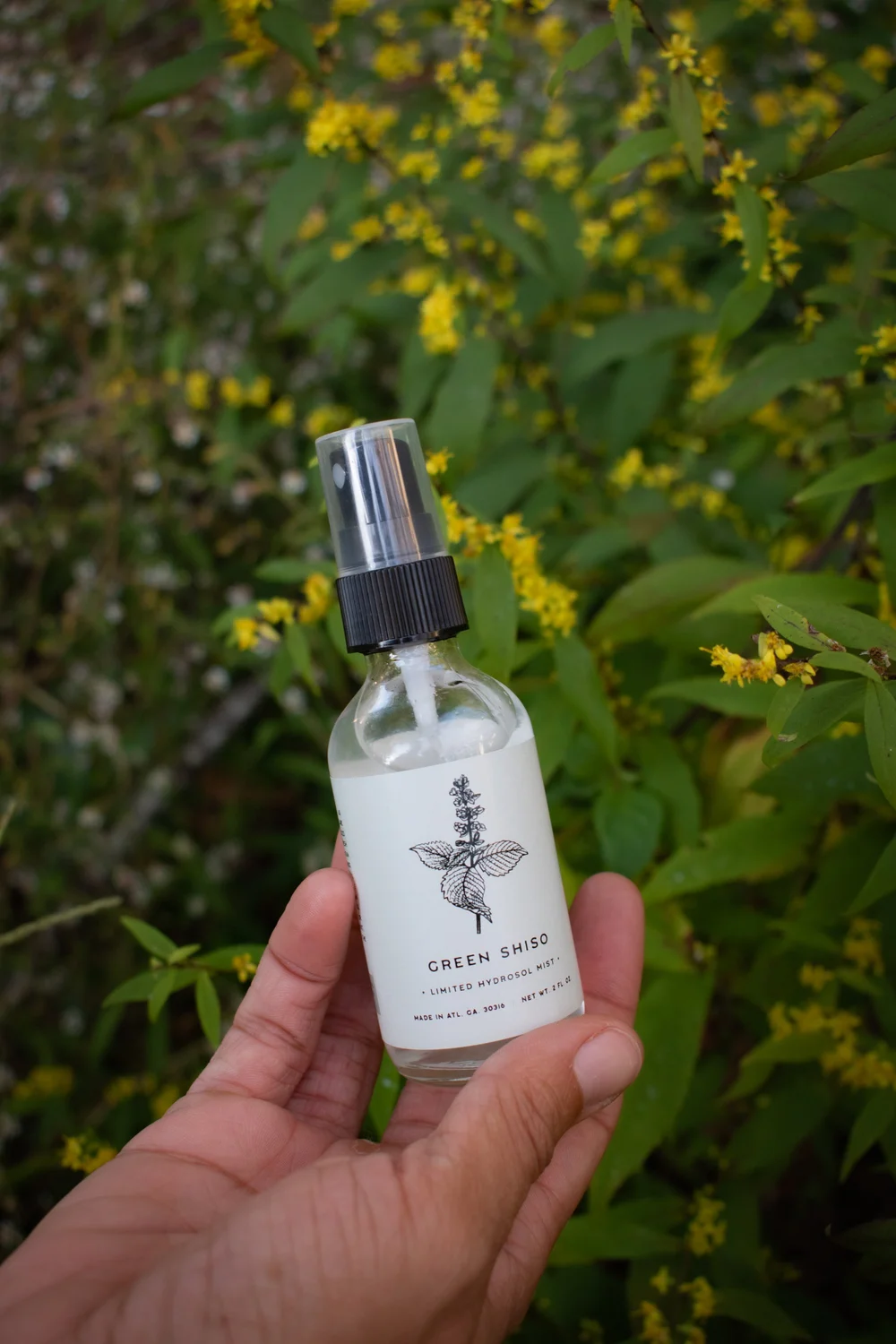 Forest Dwellers Elixir — Rowan + Sage