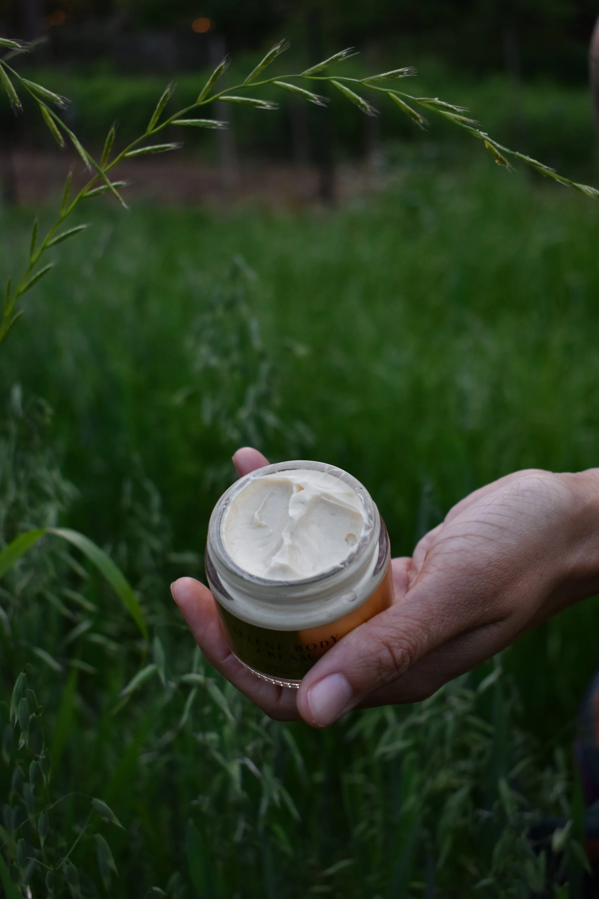 Shop Plant Potions — Rowan + Sage