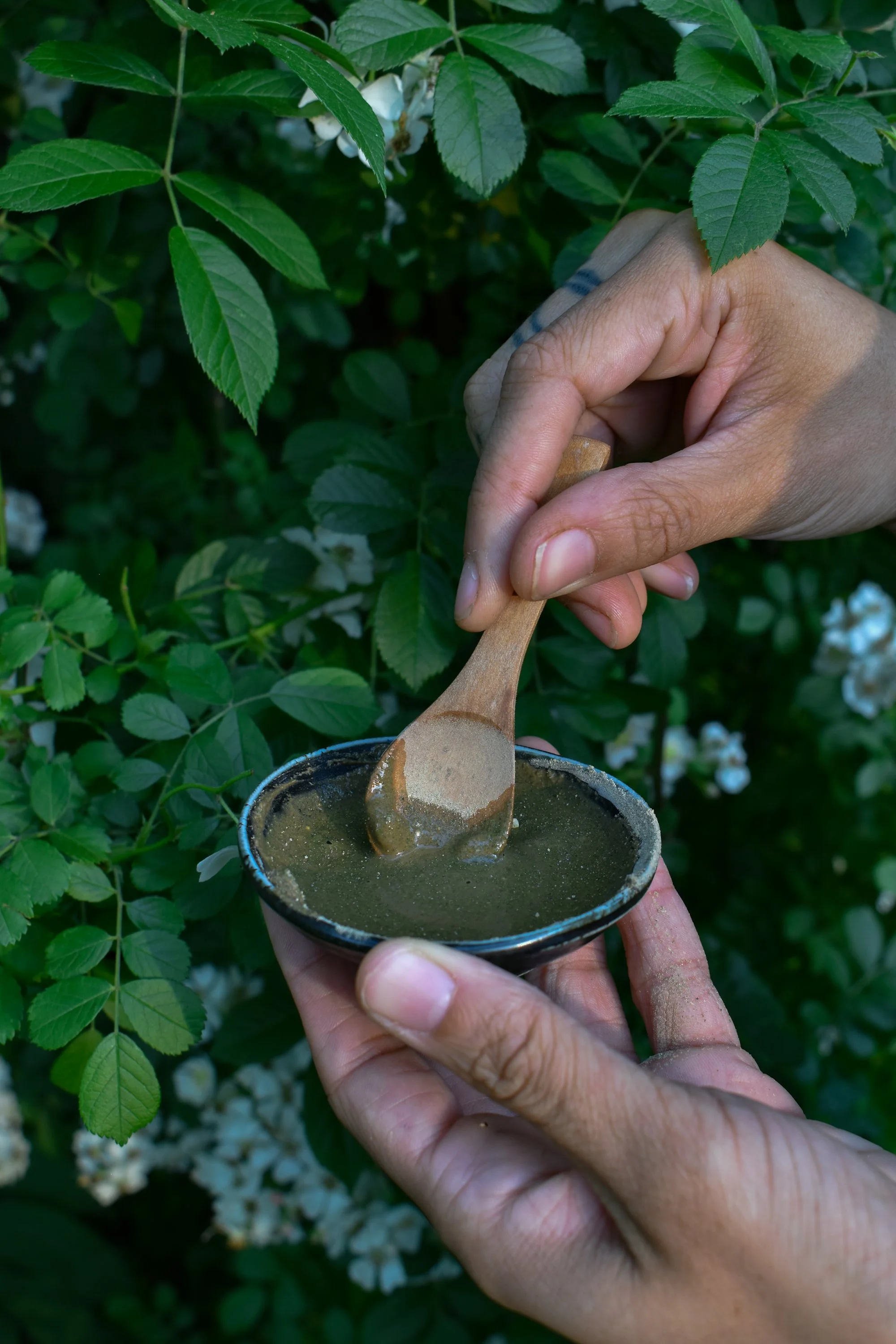 Shop Plant Potions — Rowan + Sage
