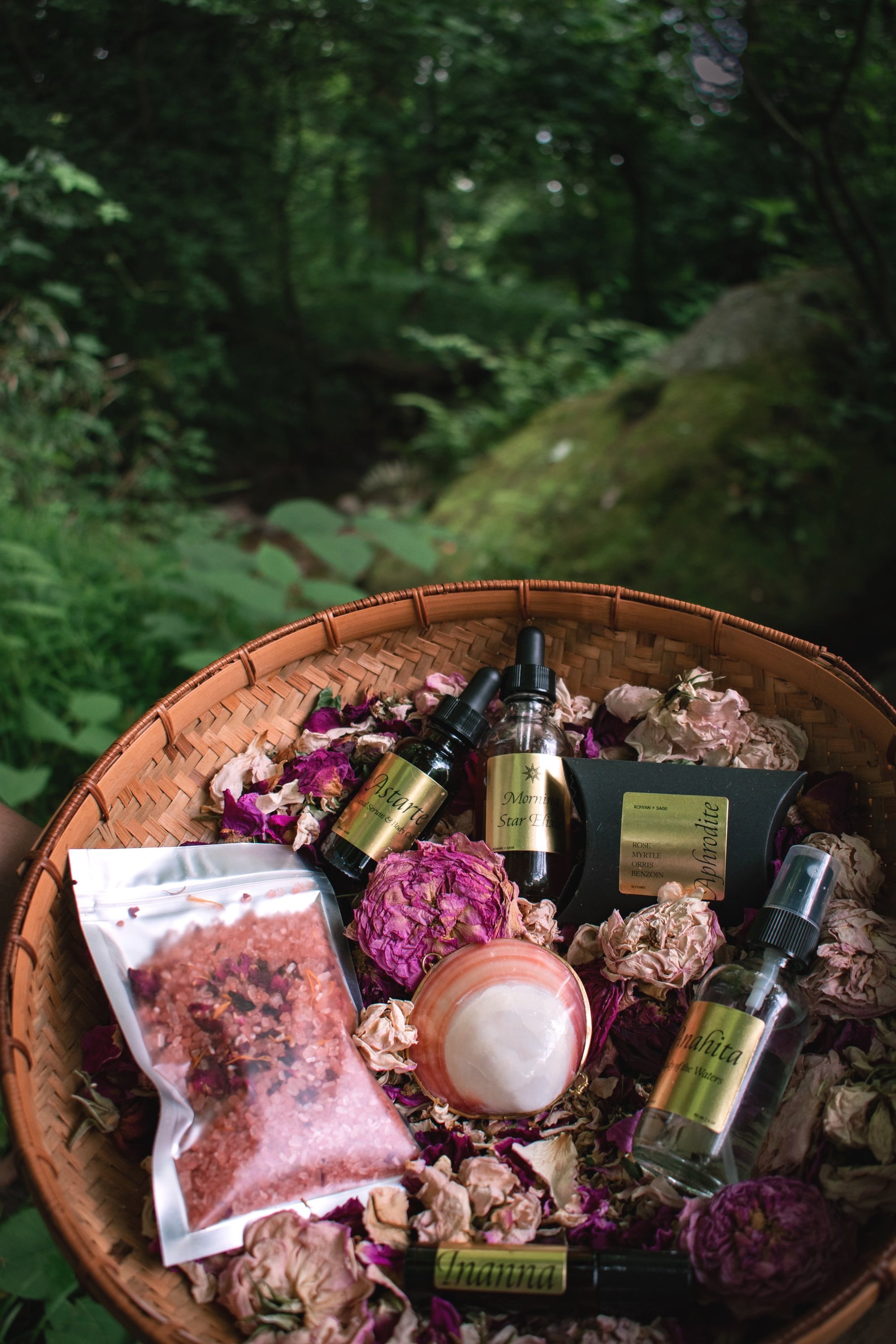 Shop Plant Potions — Rowan + Sage