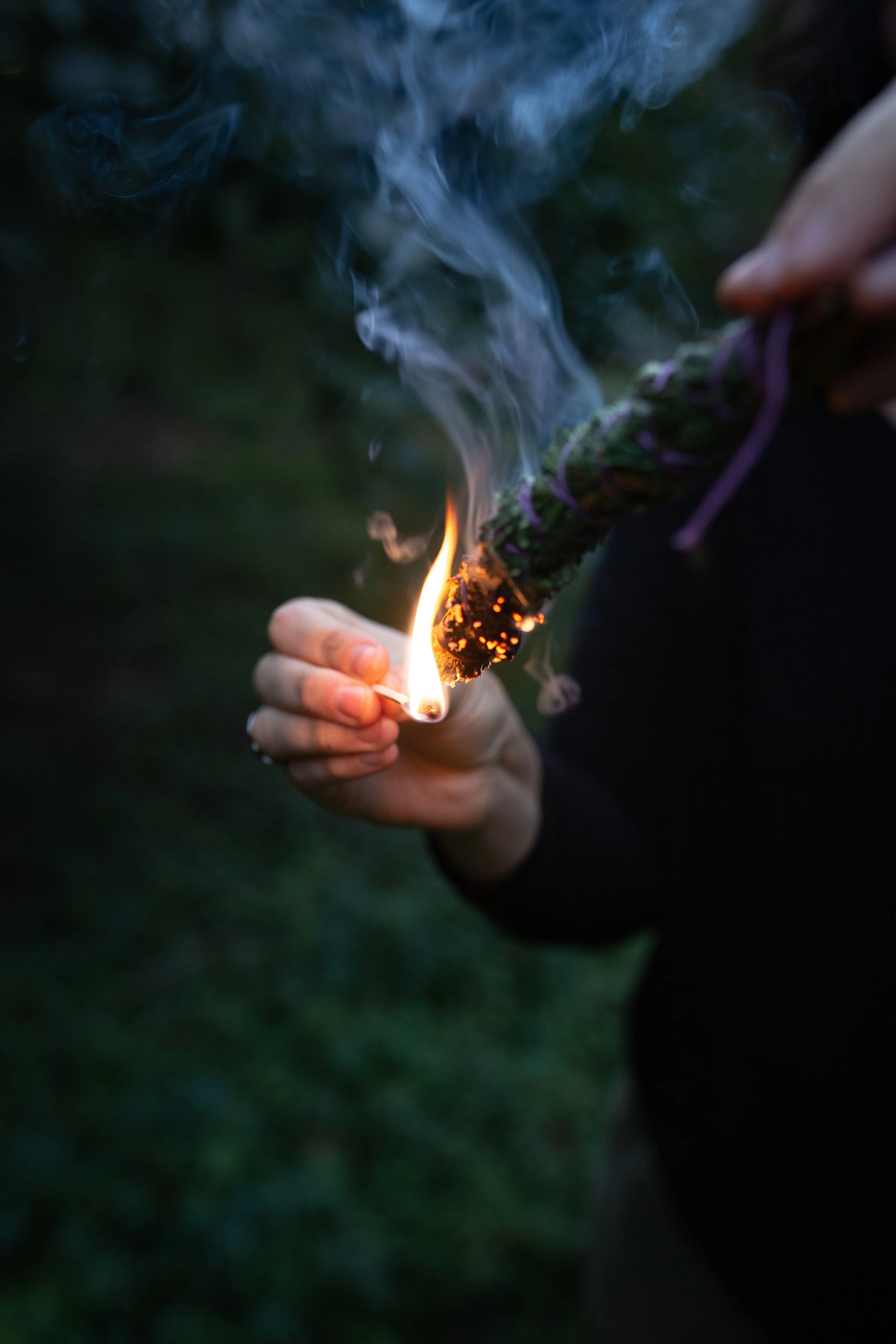 Shop Plant Potions — Rowan + Sage