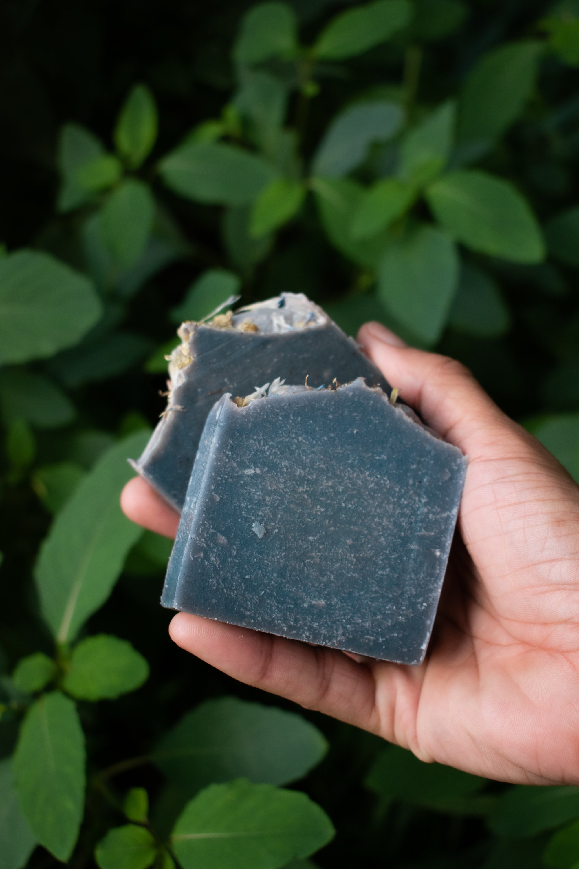 Shop Plant Potions — Rowan + Sage