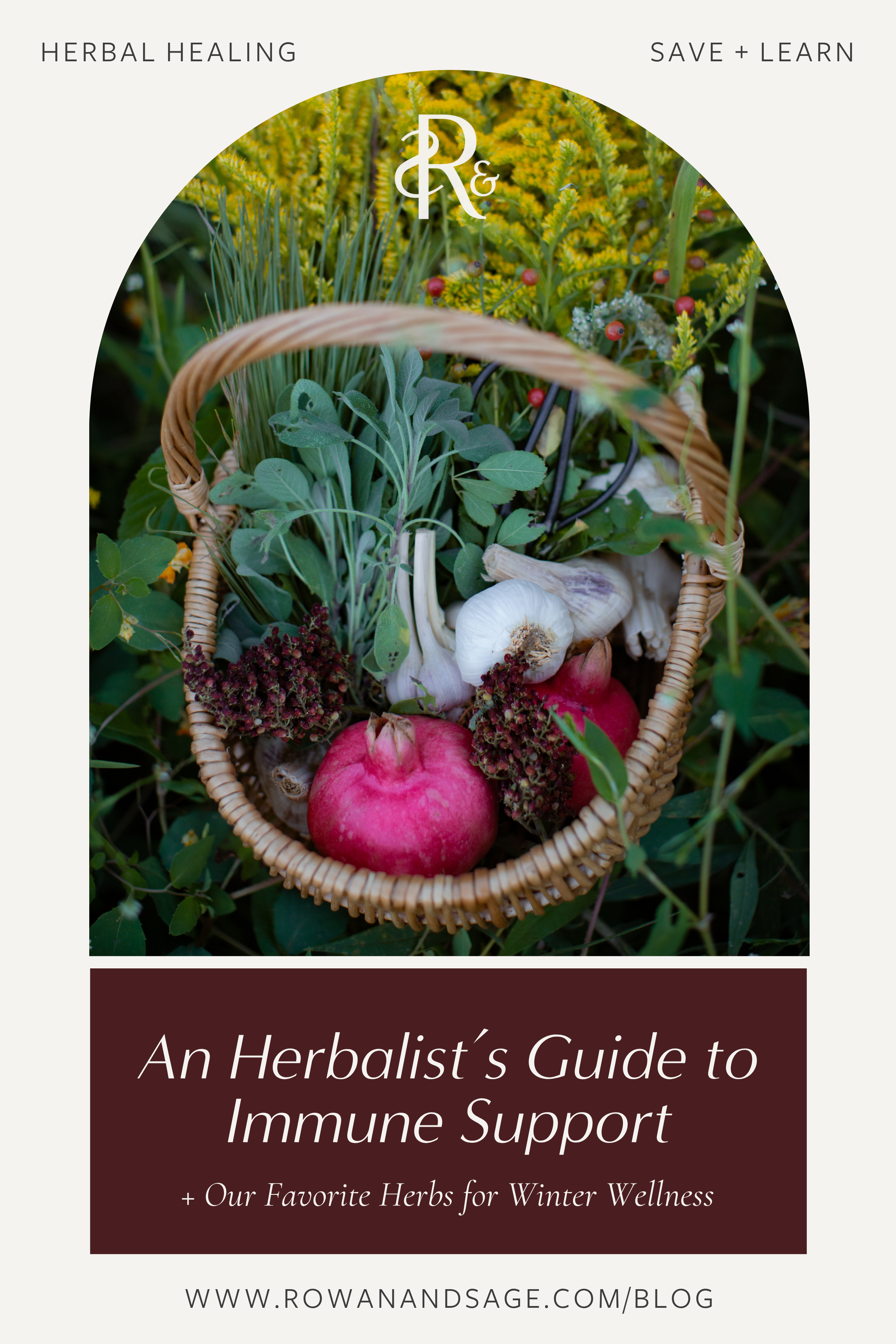 An Herbalist’s Guide to Immune Support — Rowan + Sage