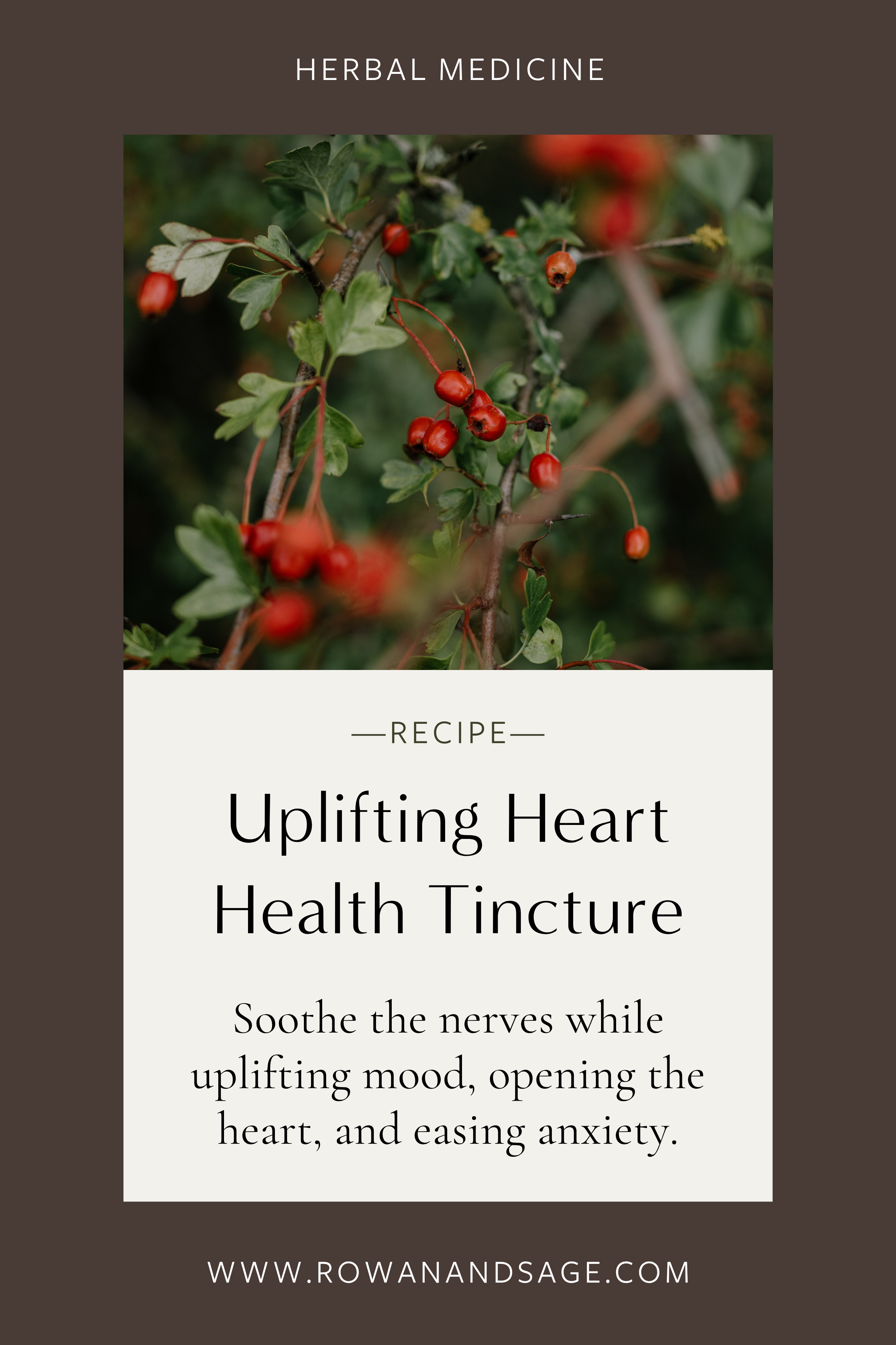Hawthorn Wisdom as the Days Grow Colder (+ a soothing recipe for the ...