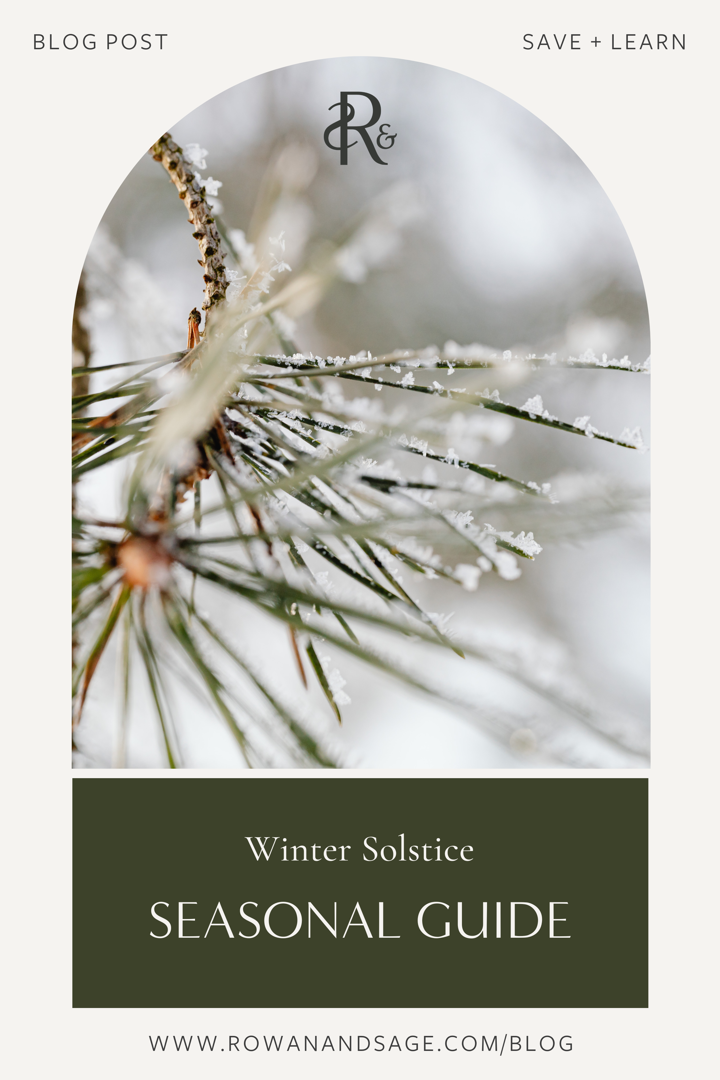 Winter Seasonal Guide (+ the medicine of Pine) — Rowan + Sage