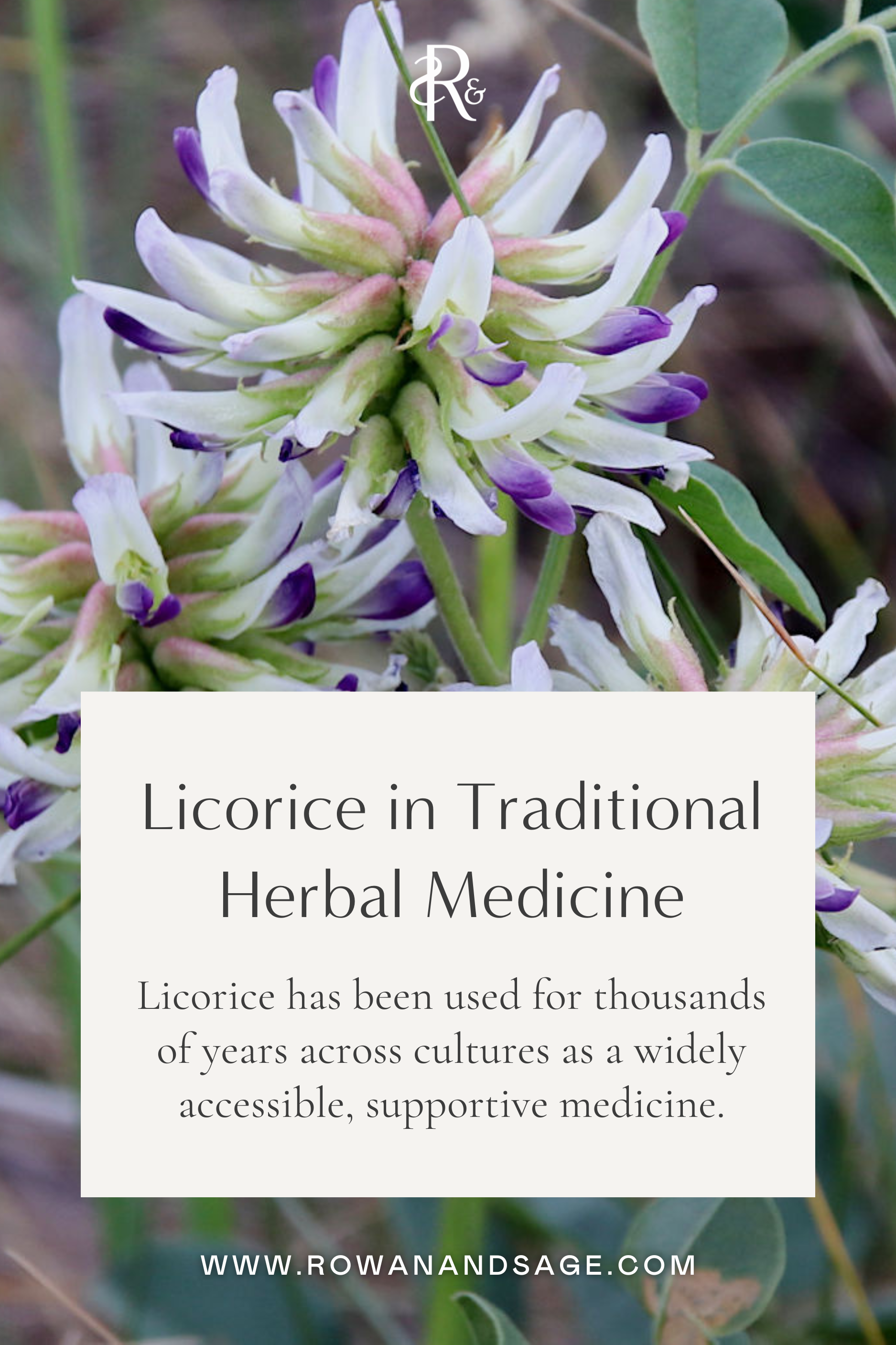 Sweet & Balancing Licorice Root (+ a simple recipe for spring cleansing ...