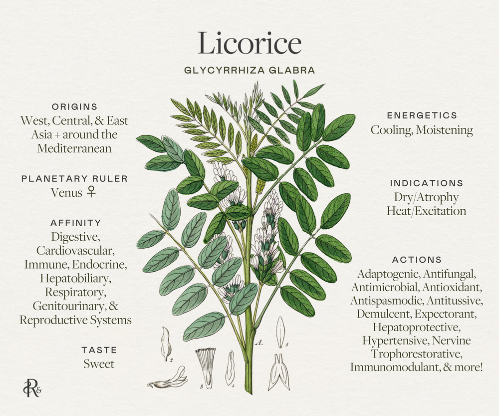Sweet & Balancing Licorice Root — Rowan + Sage