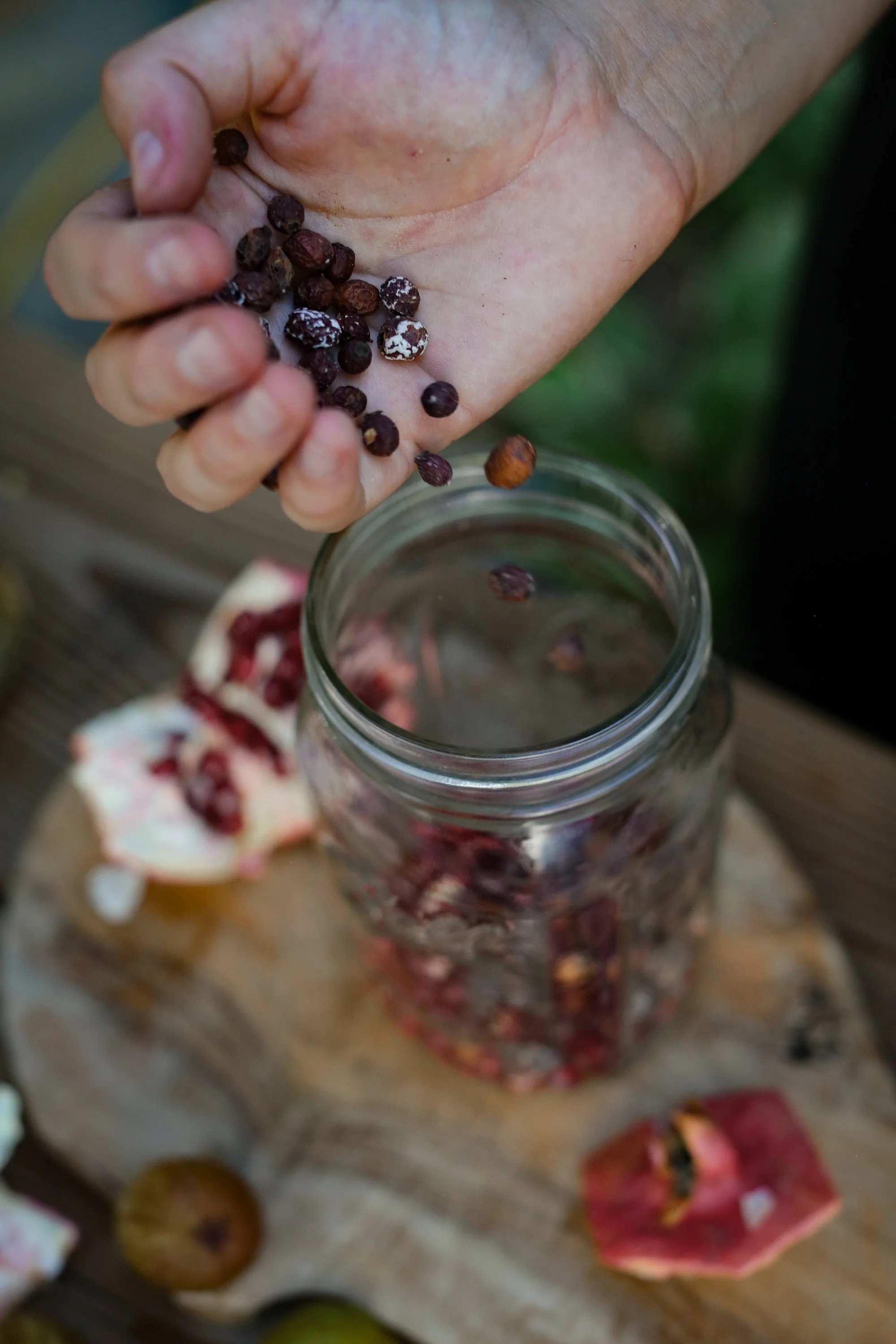 Free Oxymels Mini-Series — Rowan + Sage
