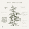 Medicinal Herbs and Flowers for Spring — Rowan + Sage
