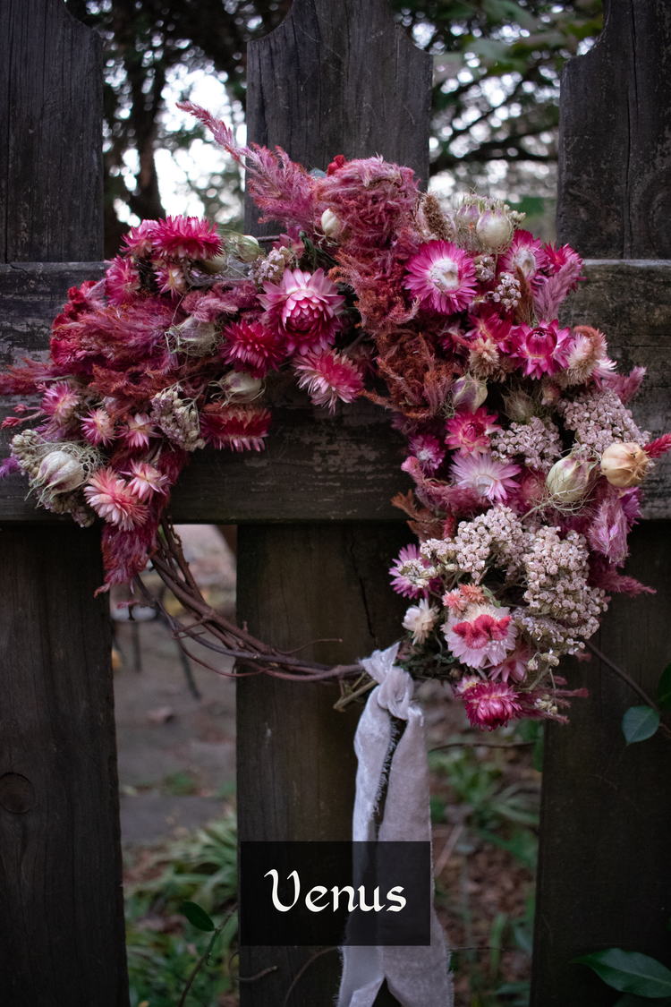 Shop Plant Potions — Rowan + Sage