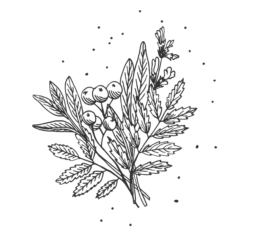 Lapis Face Mask — Rowan + Sage