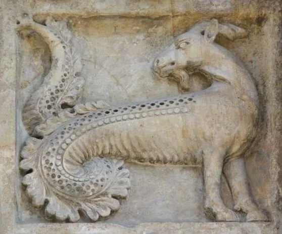 Capricorn Season & Winter Symbolism — Rowan + Sage