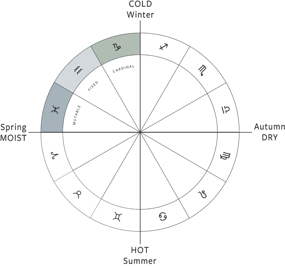 Winter Seasonal Guide — Rowan + Sage
