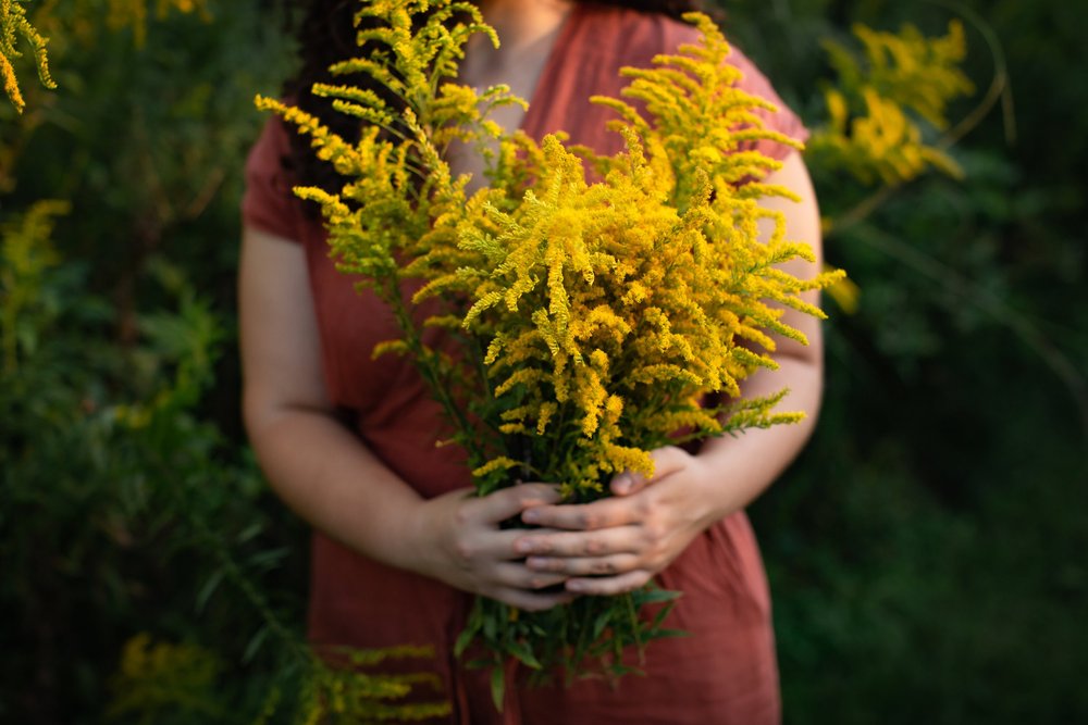 Herbaria — Rowan + Sage