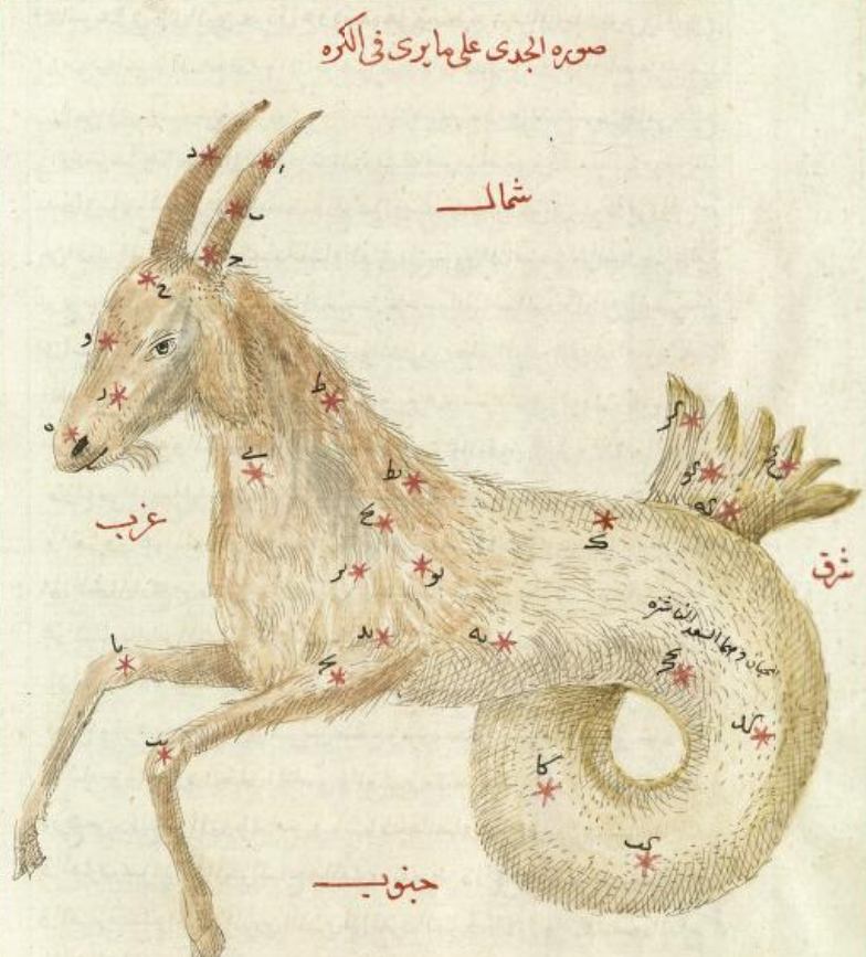 Capricorn Season & Winter Symbolism — Rowan + Sage