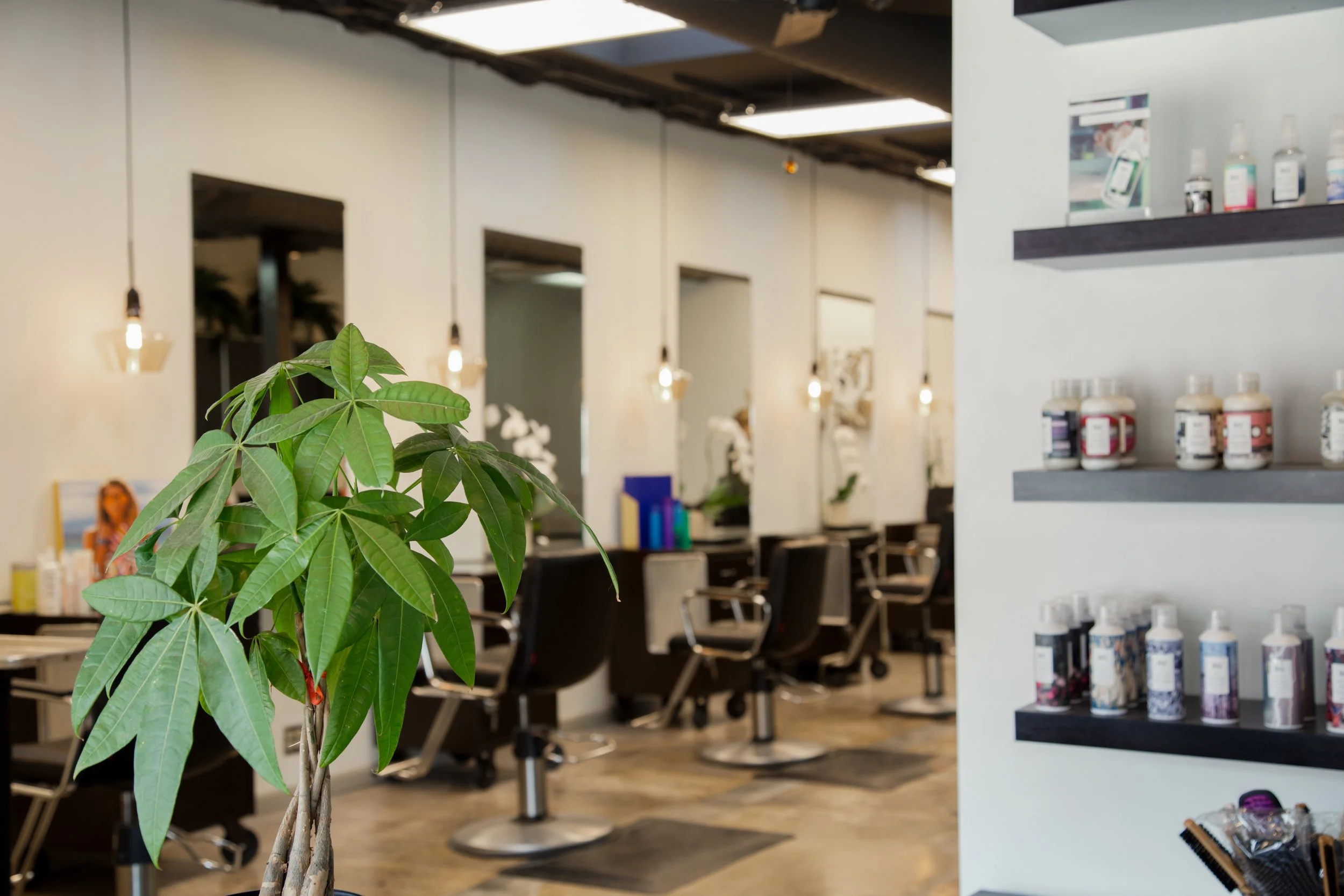 Salon Savoir - San Diego's Premier Hair Salon