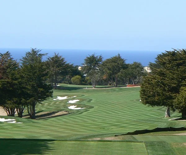 Bayonet Max Score — Palo Alto Golf Club